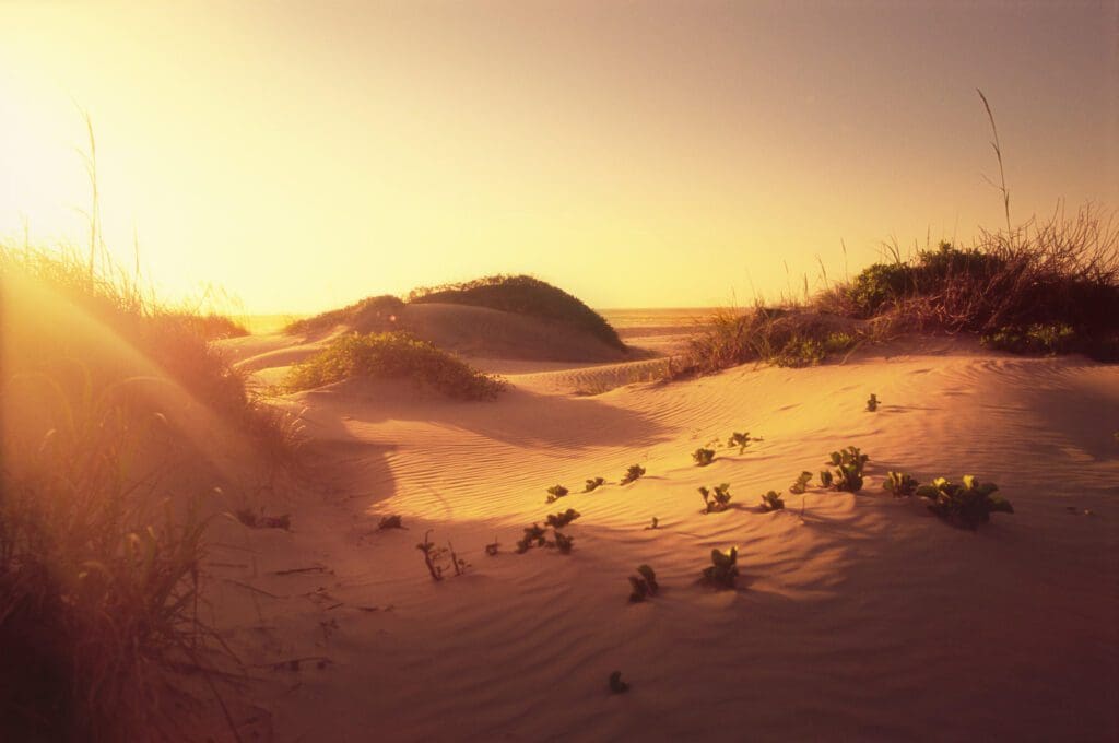 Beaches In Texas (12 Of The Best)