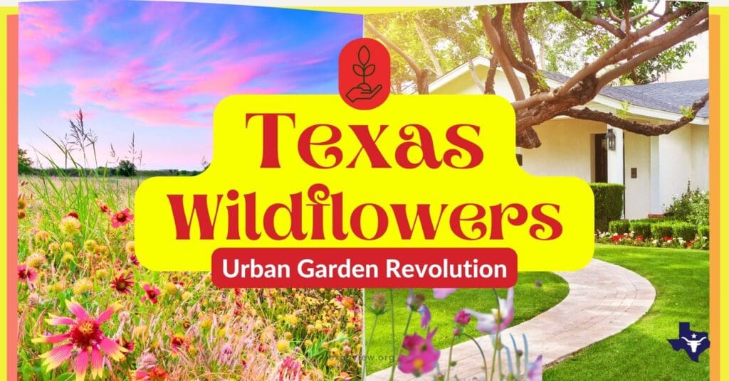 Traditional Texan Wildflowers: Be Part Of The Colorful Urban Garden ...